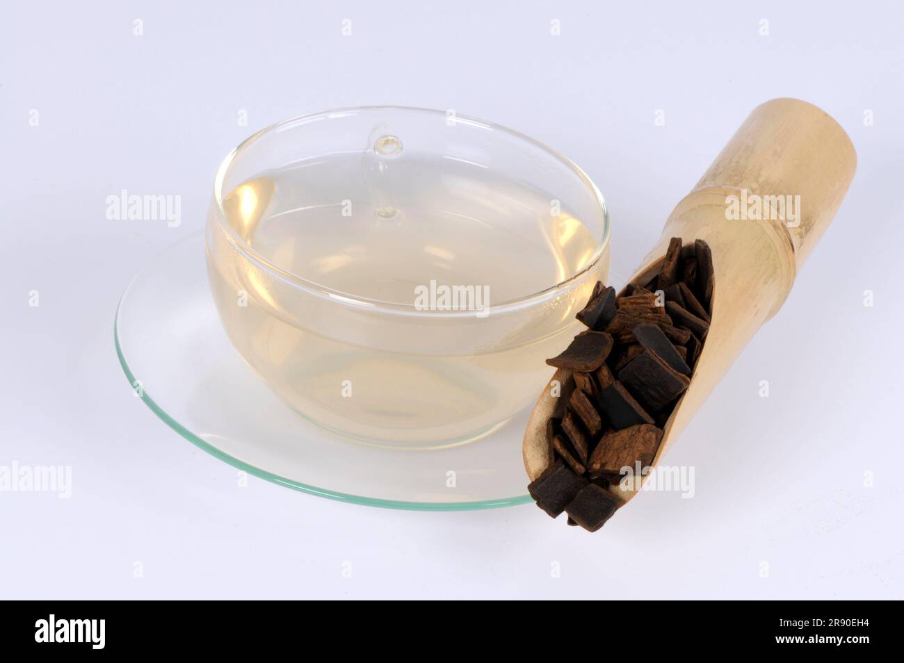 Chinese gutta-percha bark, cup of gutta-percha bark tea (Eucommiae ...