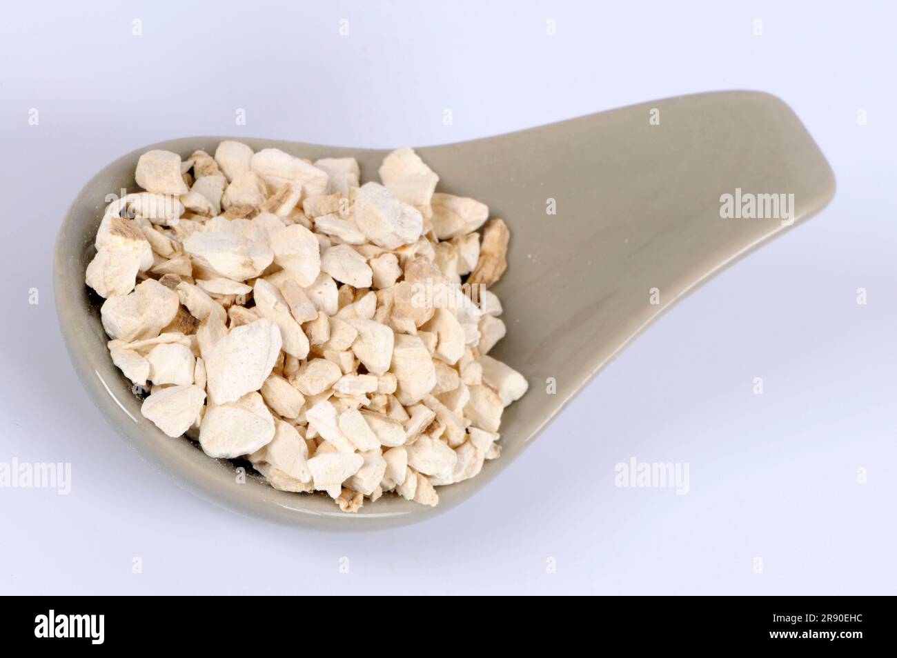 Angelica dahurica root (Angelicae dahuricae Radix), Bai Zhi, cut out ...