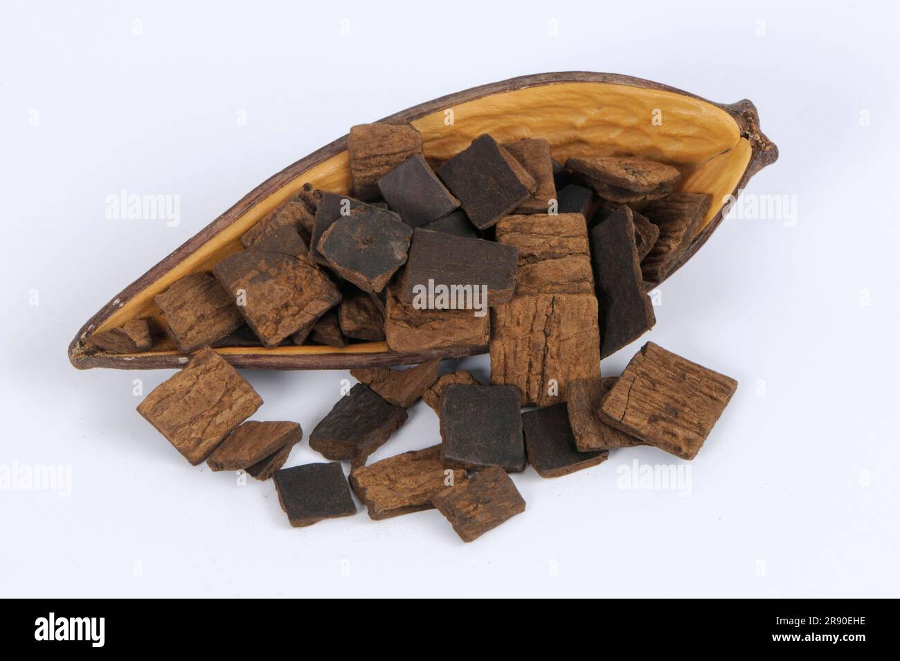 Chinese gutta-percha bark (Eucommiae cortex), Du Zhong, exemplar ...
