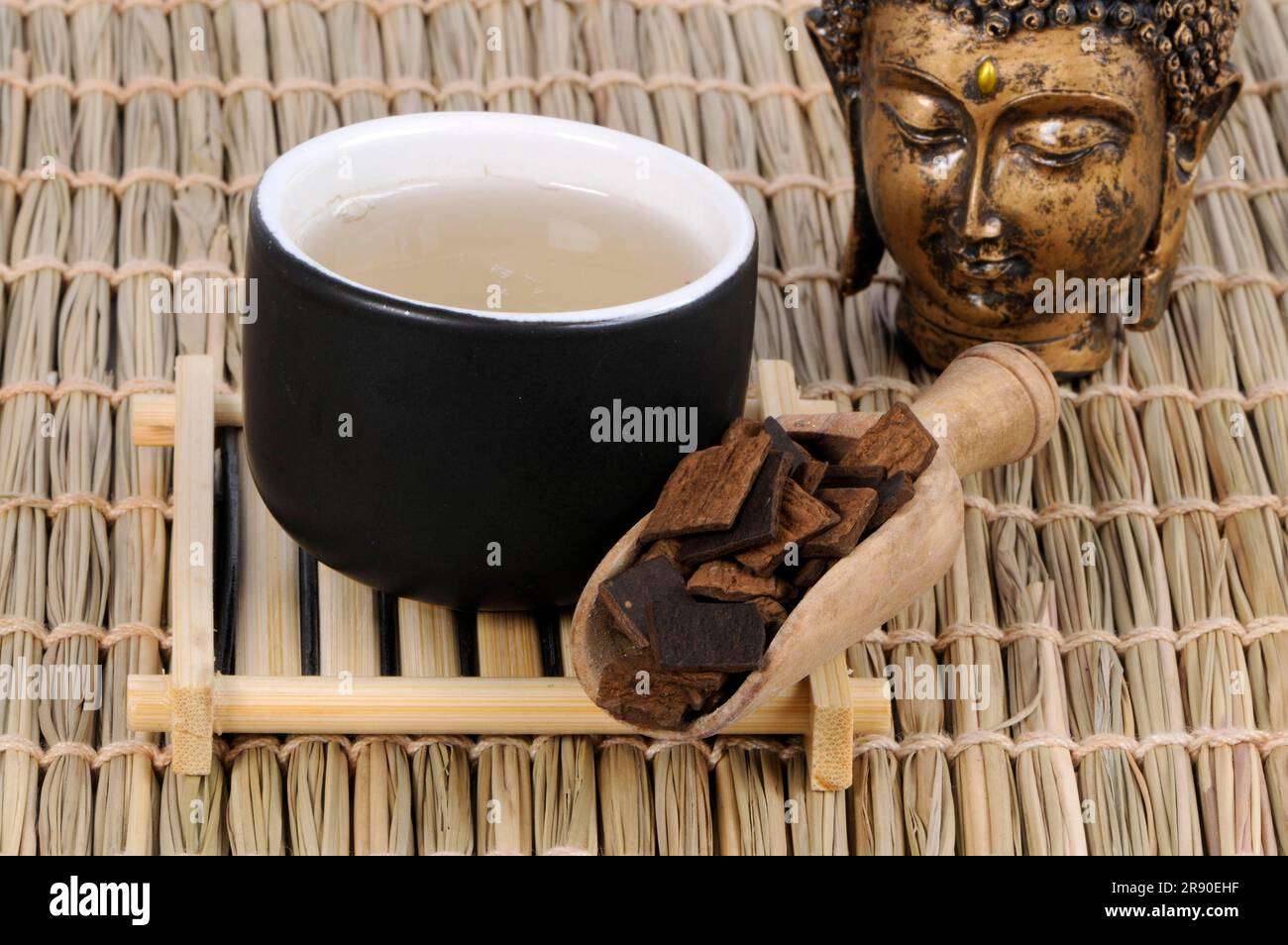 Gutta percha tree hi-res stock photography and images - Alamy