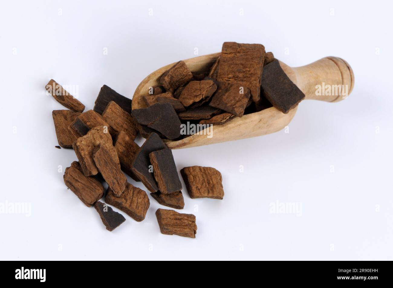 Chinese gutta-percha bark (Eucommiae cortex), Du Zhong, exemplar ...