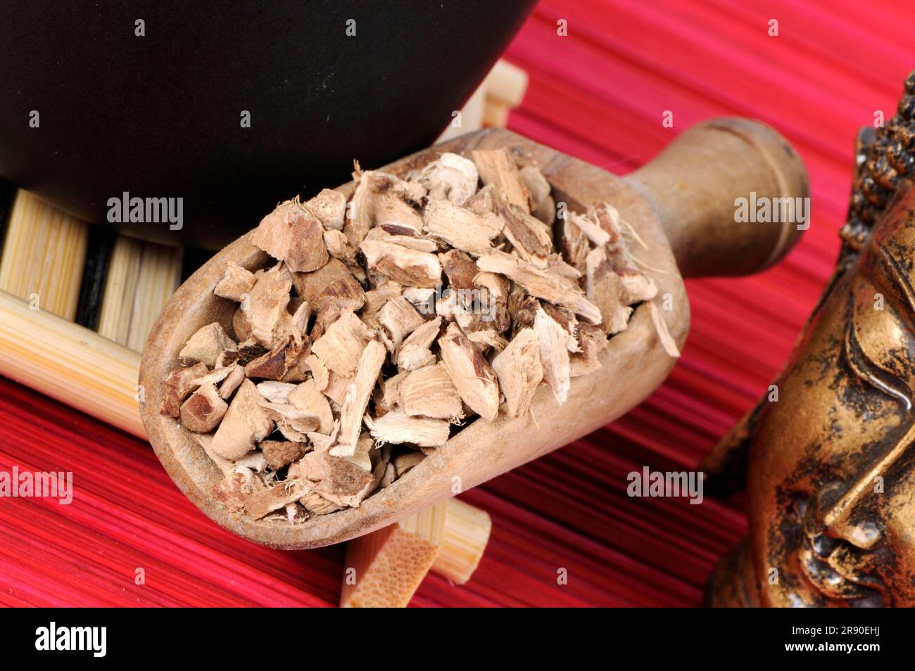 Grass-leaved sweet flag rhizome (Acorus tatarinowii rhizoma), Shi Chang ...