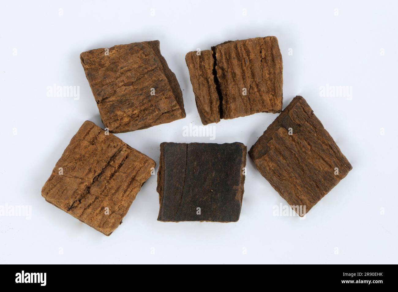Chinese gutta-percha bark (Eucommiae cortex), Du Zhong, exemplar ...