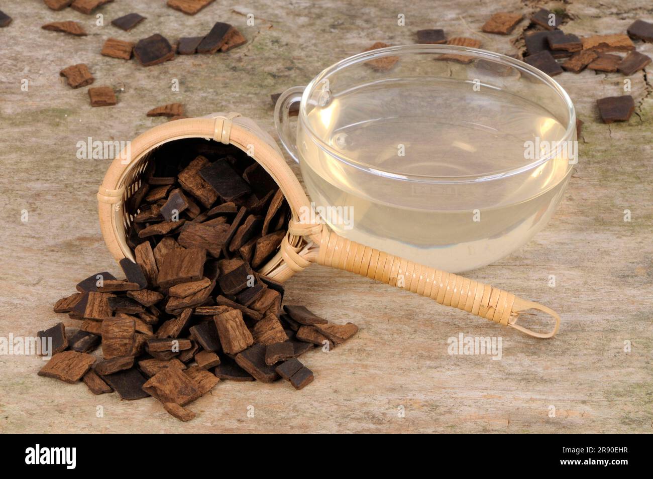 Chinese gutta-percha bark, cup of gutta-percha bark tea (Eucommiae ...
