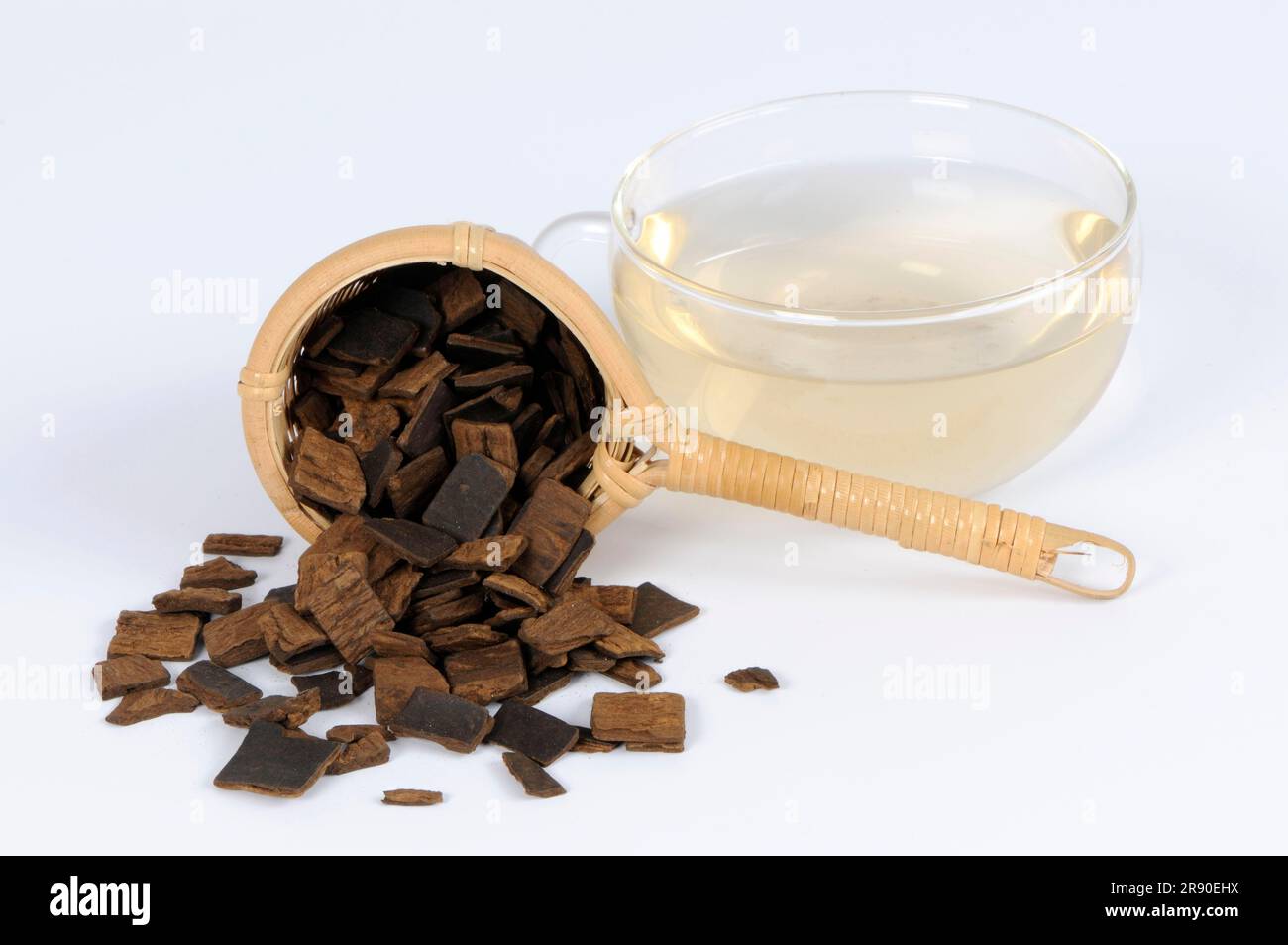 Chinese gutta-percha bark, cup of gutta-percha bark tea (Eucommiae ...
