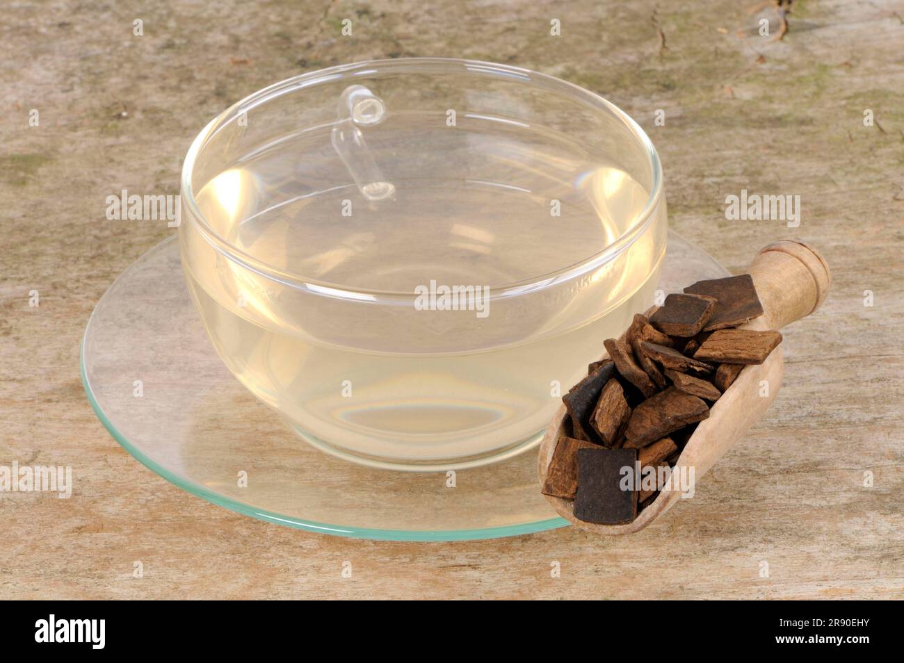 Chinese gutta-percha bark, cup of gutta-percha bark tea (Eucommiae ...