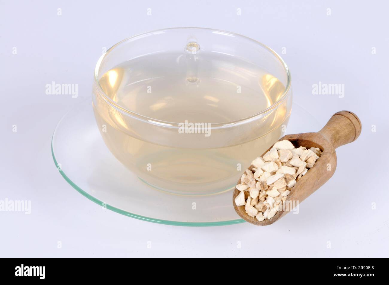 Cup of Dahurian Angelica Tea (Angelicae dahuricae Radix), Bai Zhi Stock ...