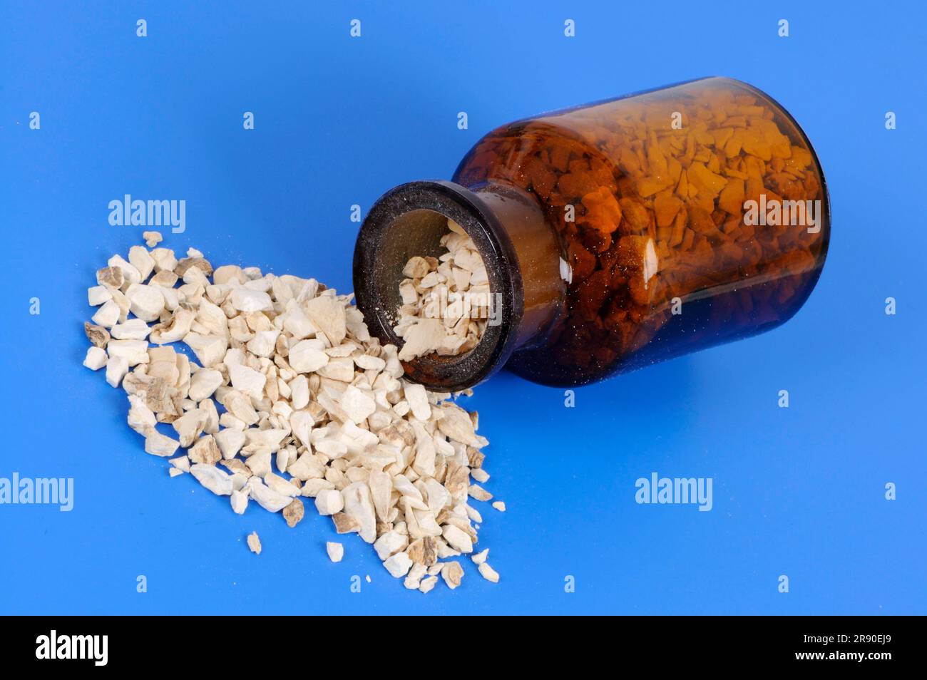 Angelica dahurica root (Angelicae dahuricae Radix), Bai Zhi, cut out ...