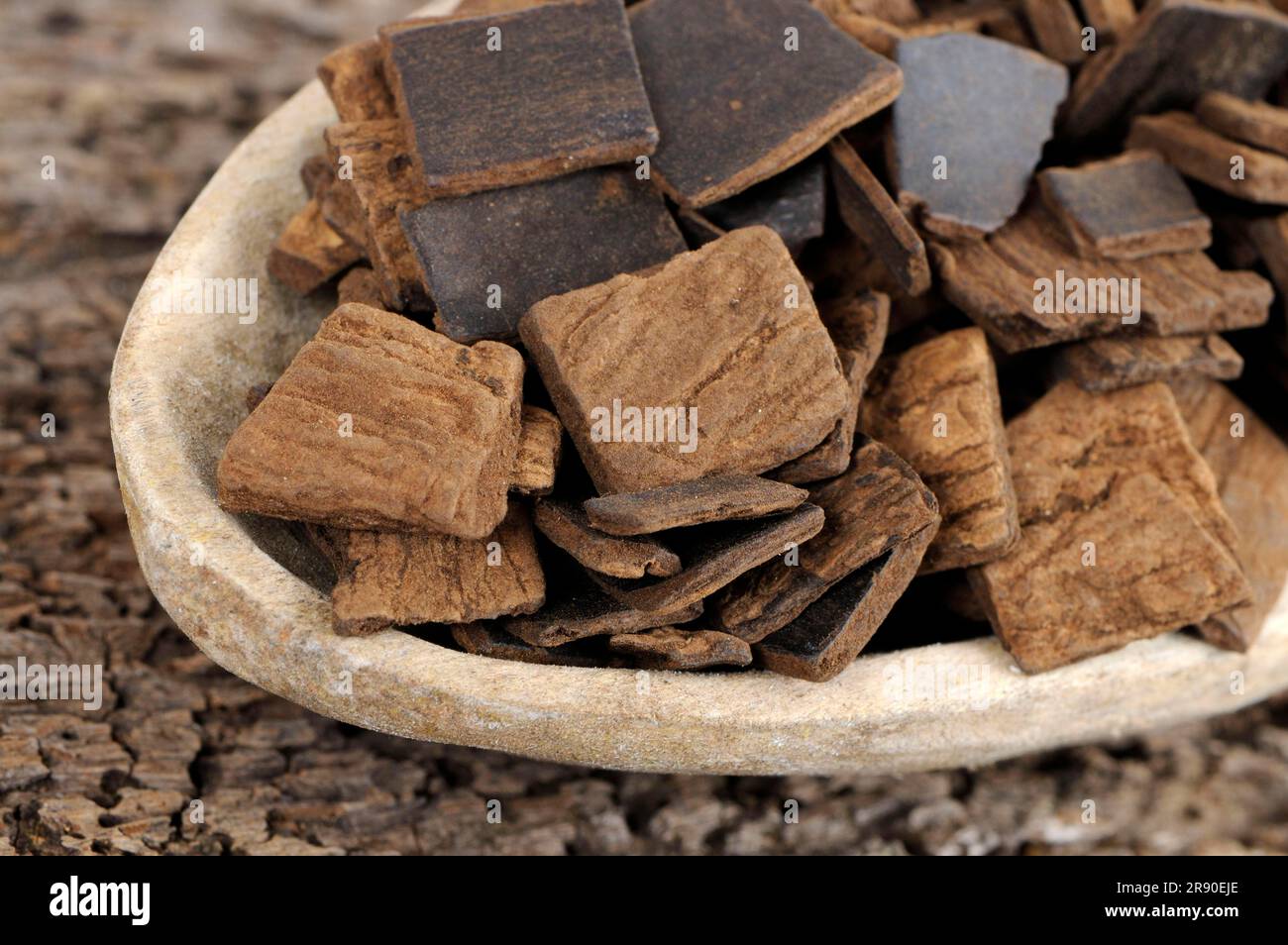 Chinese gutta-percha bark (Eucommiae cortex), Du Zhong Stock Photo - Alamy