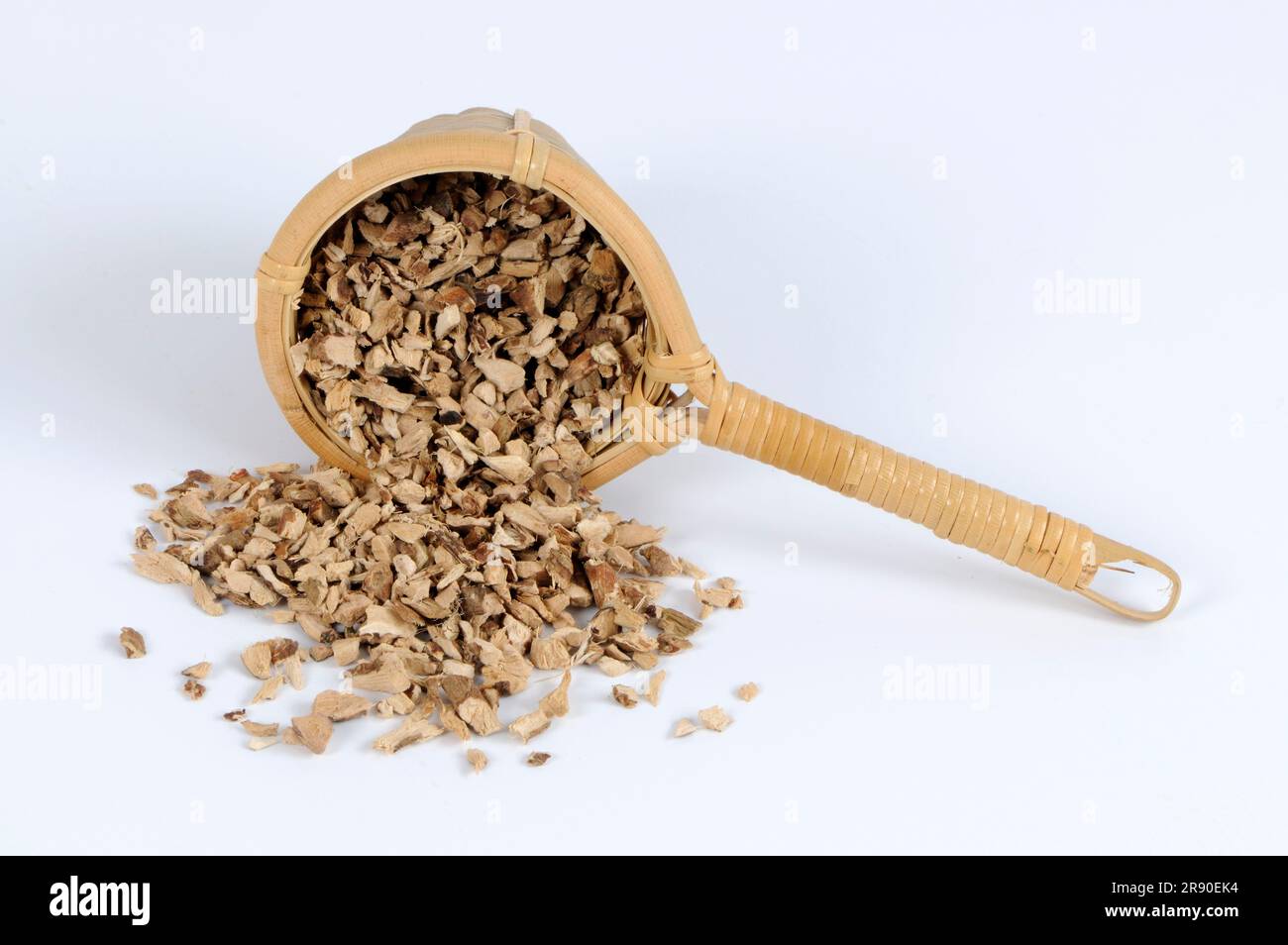 Grass-leaved sweet flag rhizome (Acorus tatarinowii rhizoma), Shi Chang ...