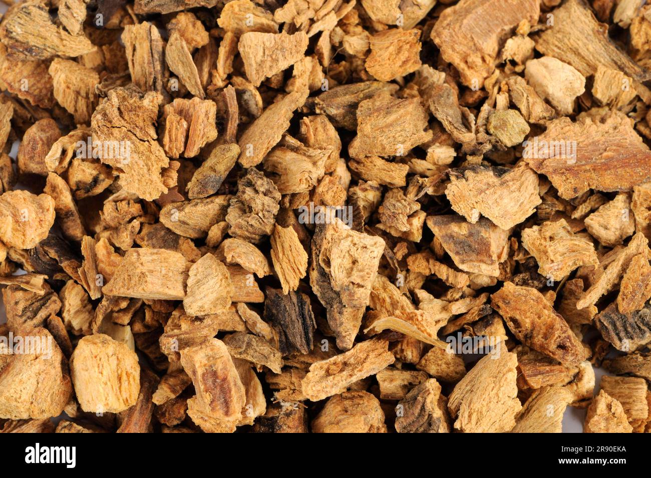 Bitter root hi-res stock photography and images - Alamy