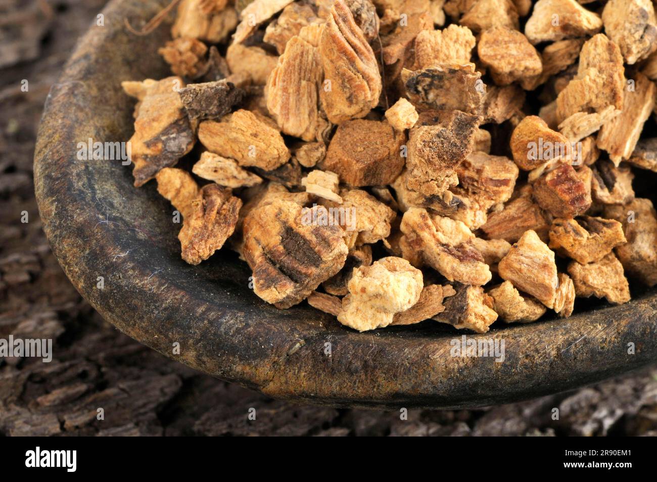 Gentian root (Radix gentianae), bitter root, feverfew, high root Stock ...