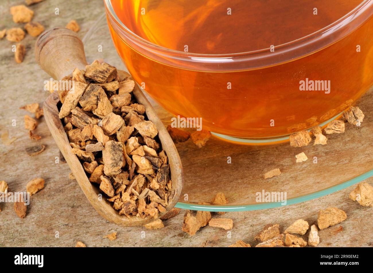 Gentian root and cup of gentian root tea (Radix gentianae), bitter root ...