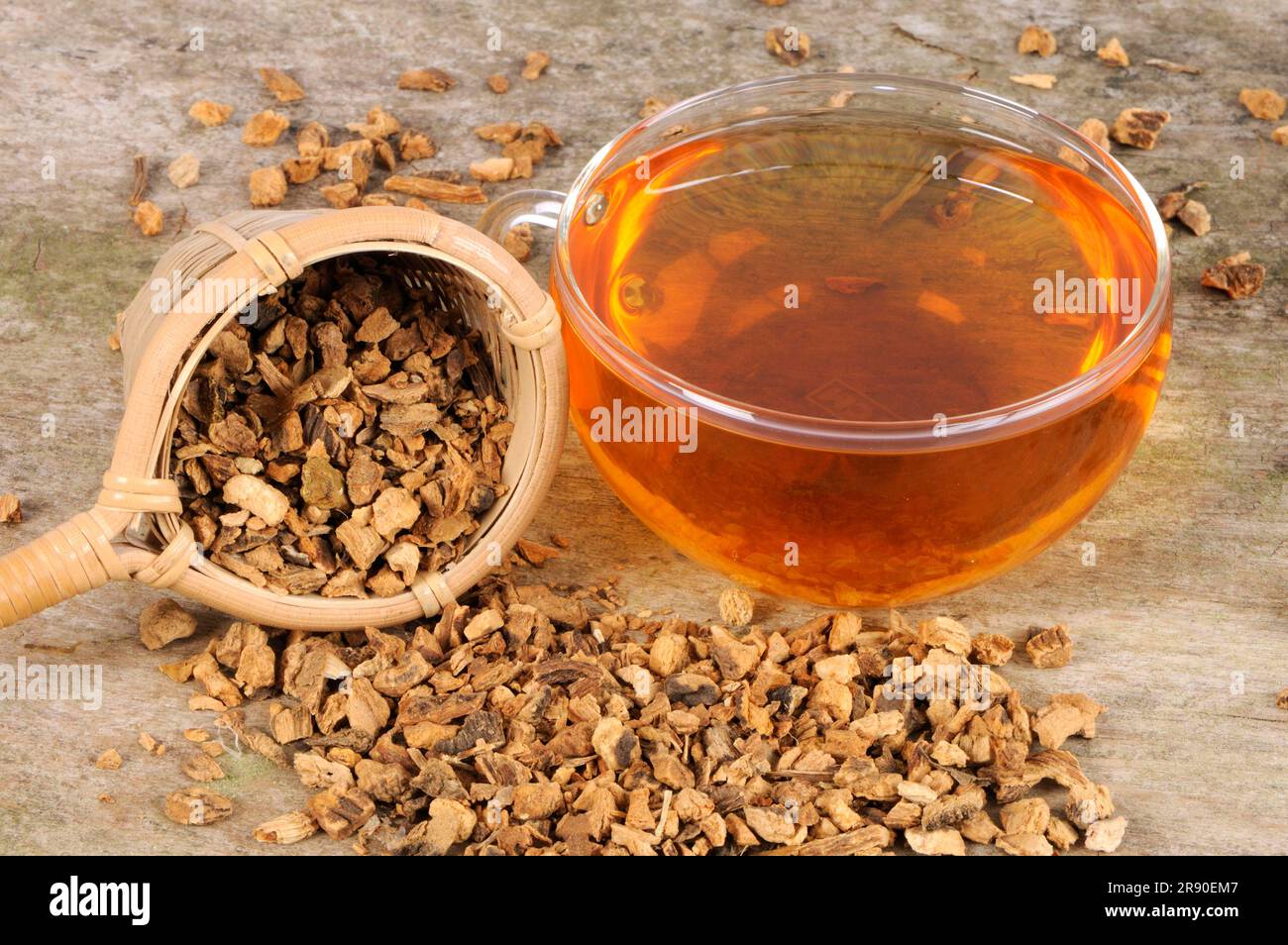 Gentian root and cup of gentian root tea (Radix gentianae), bitter root ...