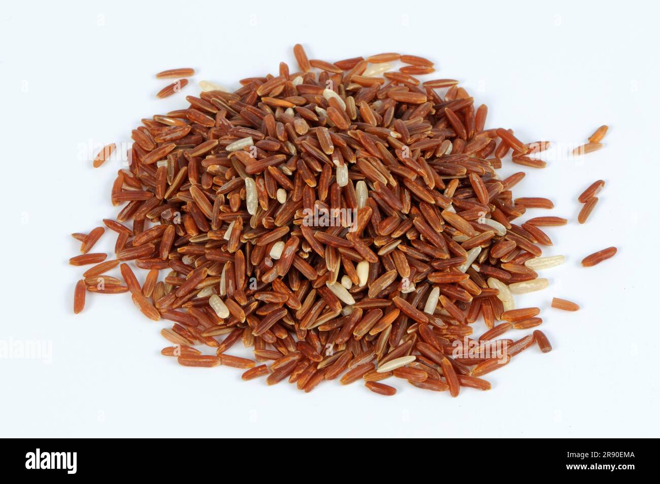Red wholemeal rice (Oryza sativa), rice grains Stock Photo - Alamy