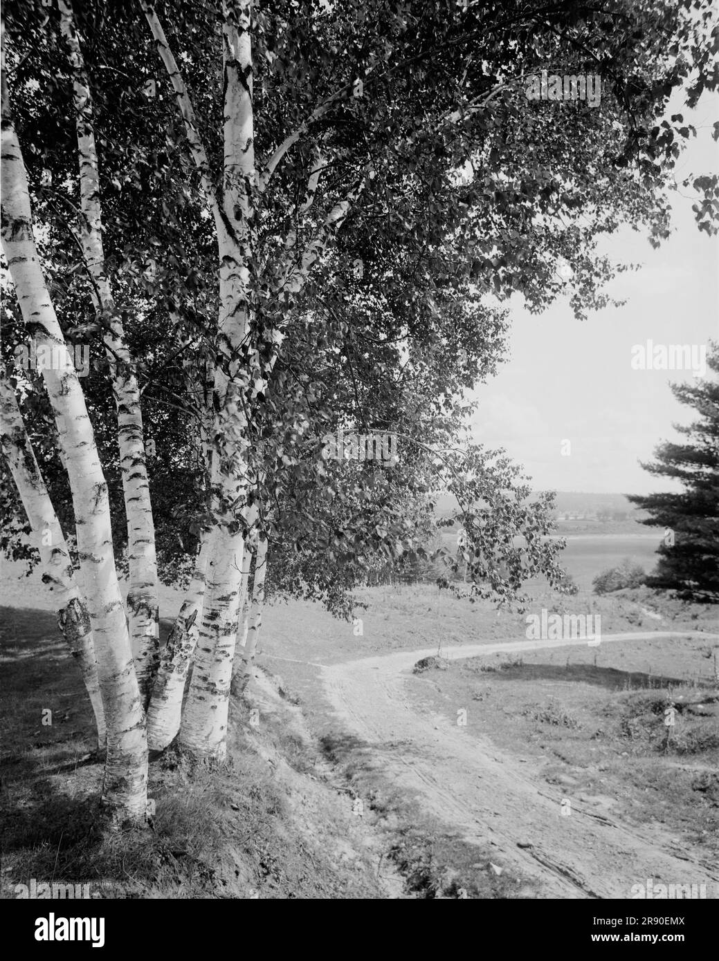 Co down countryside Black and White Stock Photos & Images - Alamy