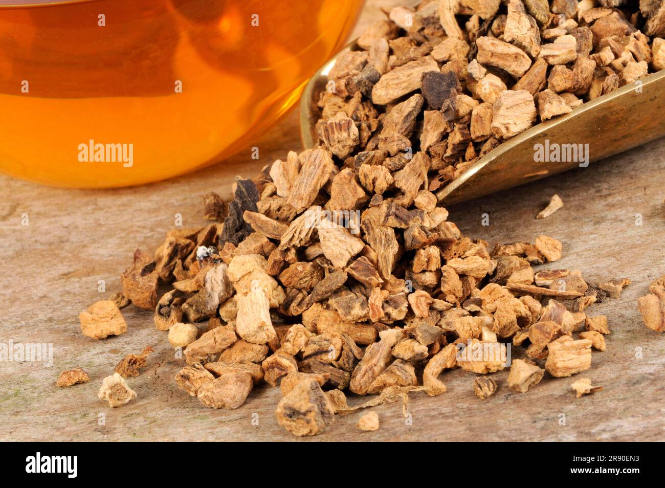 Gentian root and cup of gentian root tea (Radix gentianae), bitter root ...