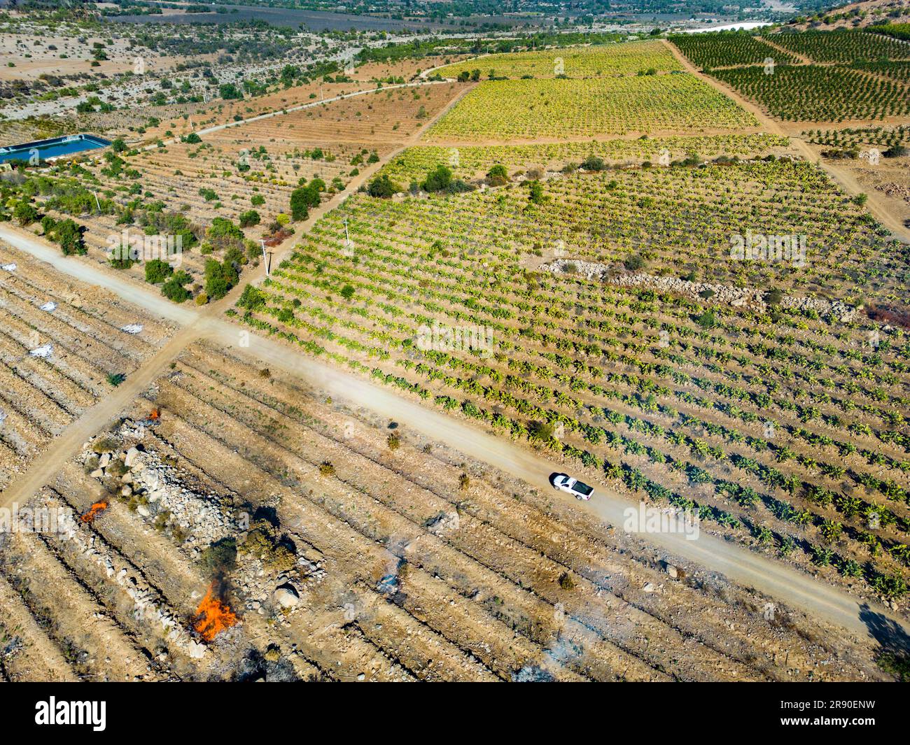 Aerial view of citriculture in Petorca in Chile, South America ...