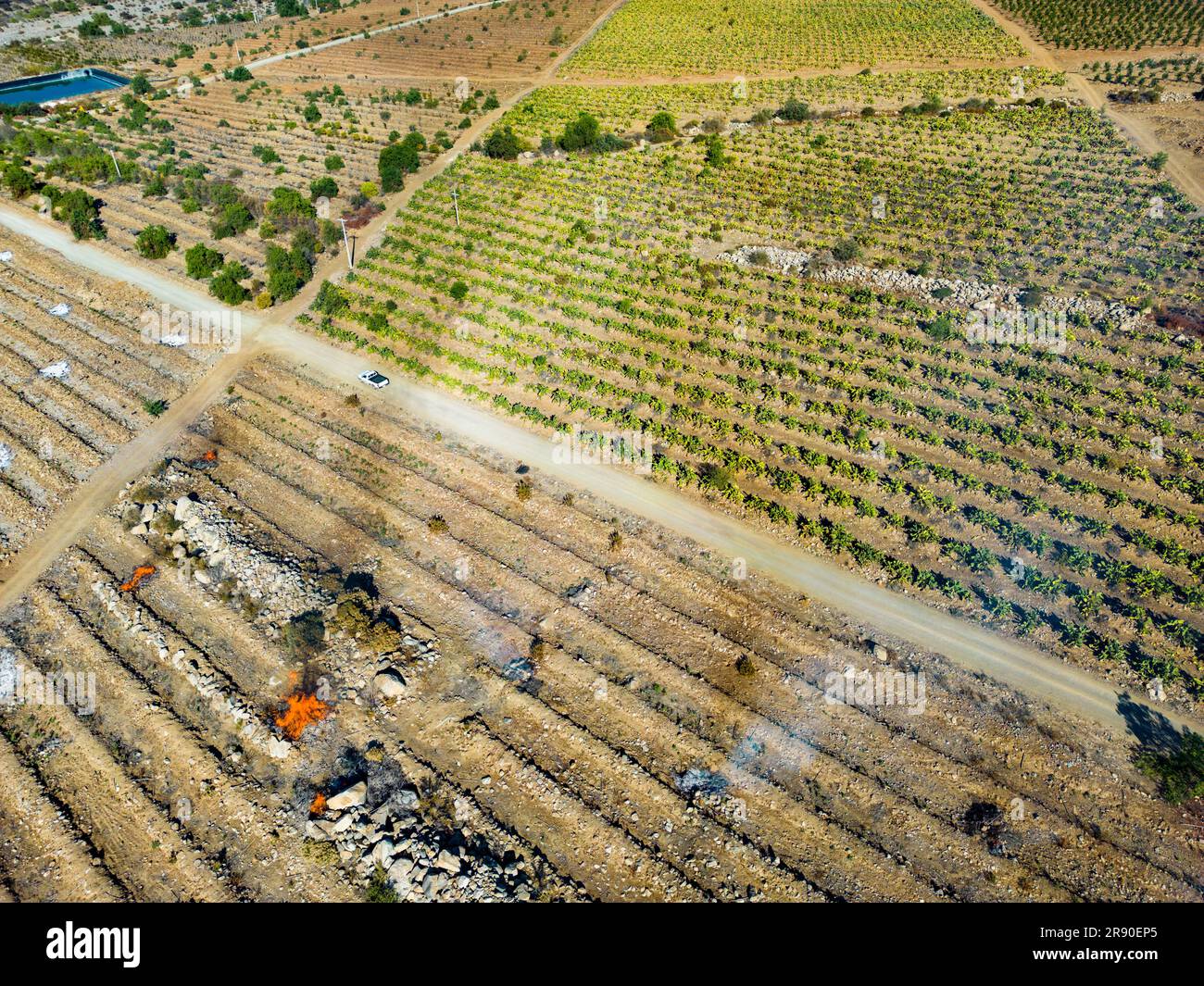 Aerial view of citriculture in Petorca in Chile, South America ...