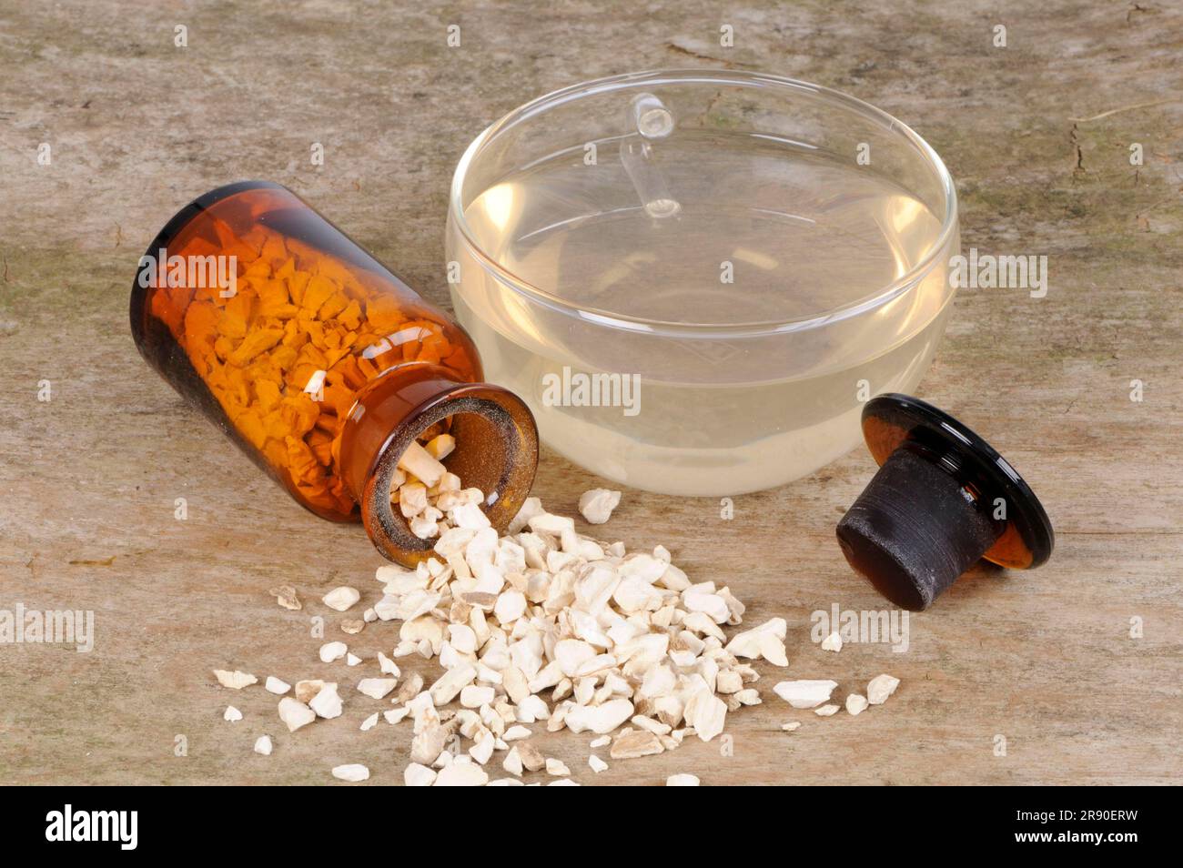 Cup of Dahurian Angelica Tea (Angelicae dahuricae Radix), Bai Zhi Stock ...