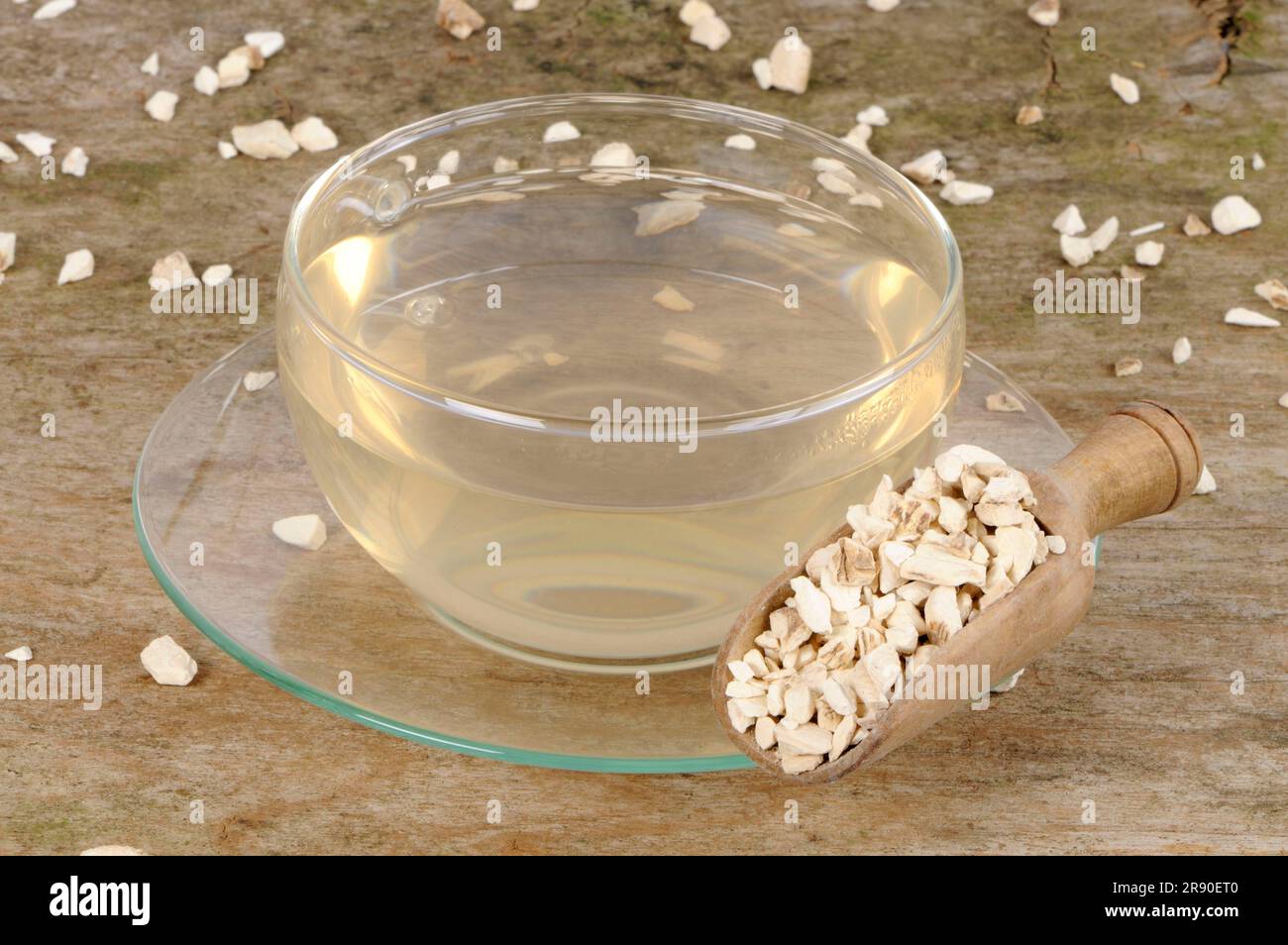 Cup of Dahurian Angelica Tea (Angelicae dahuricae Radix), Bai Zhi Stock ...