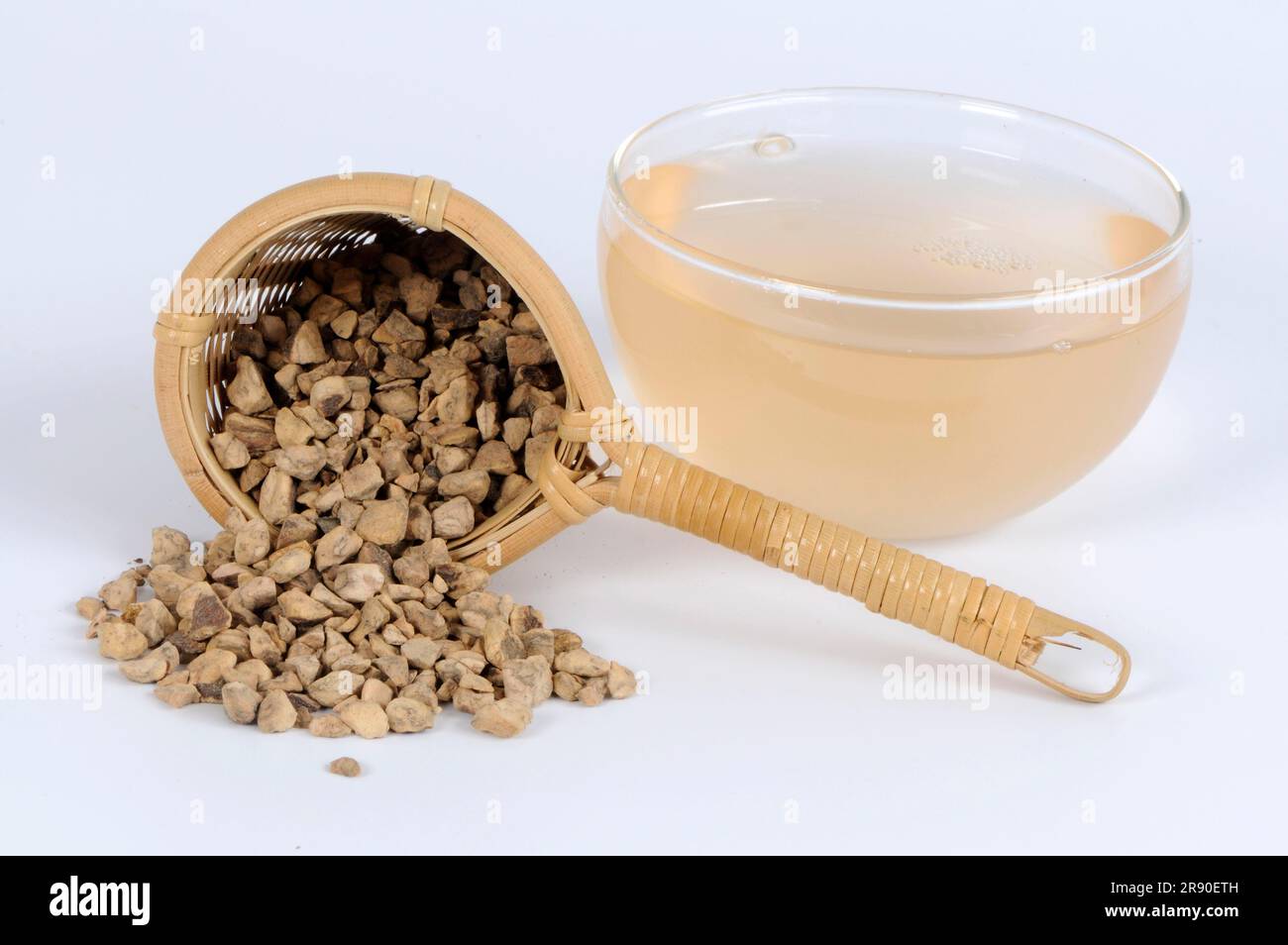 Polygonum root tea (Polygoni multiflori Radix) in cup, Polygonum root ...