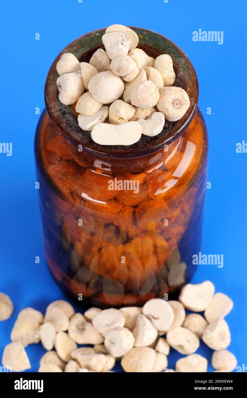 Pinelliae rhizoma hi-res stock photography and images - Alamy