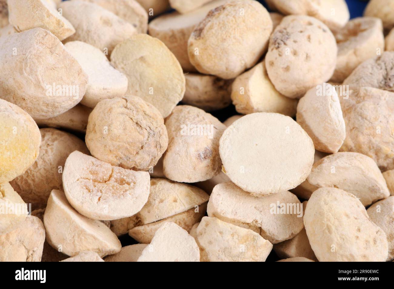 Pinellia tuber (Pinelliae rhizoma), Ban Xia Stock Photo - Alamy