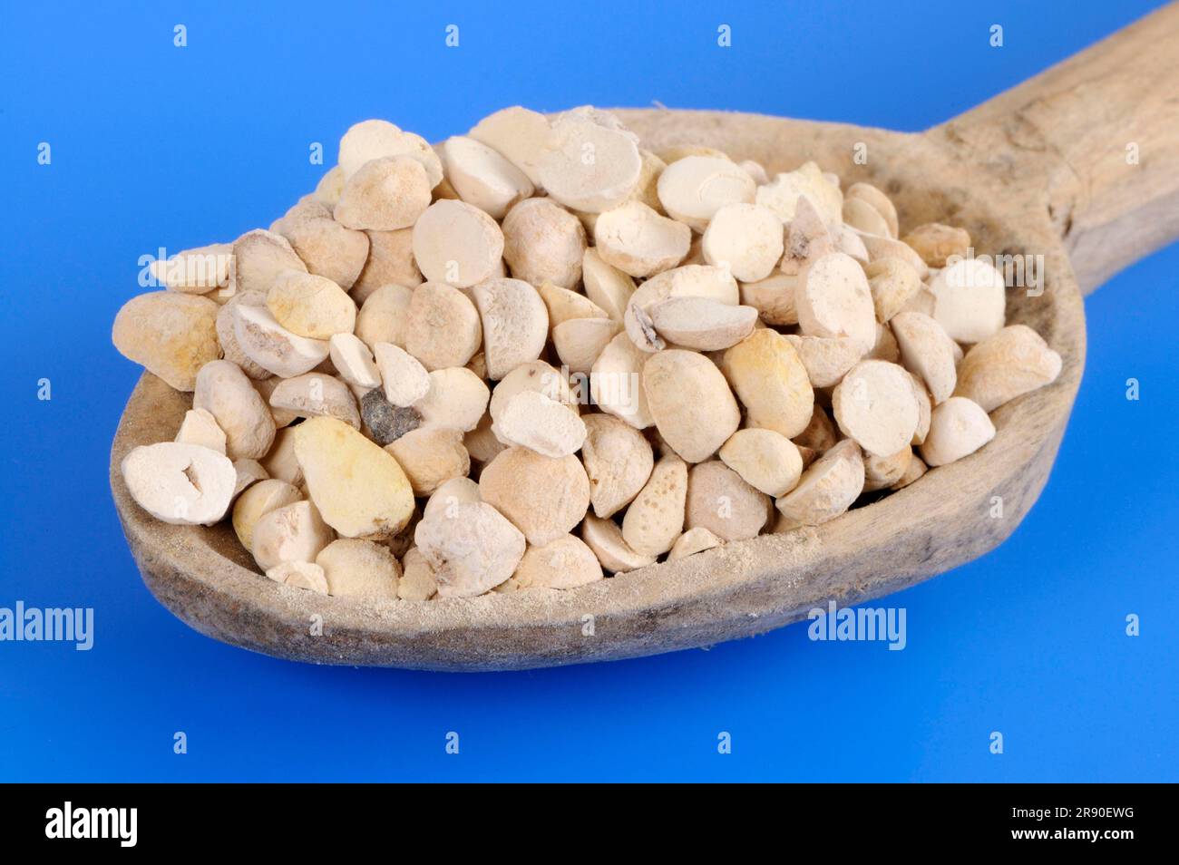 Pinellia tuber (Pinelliae rhizoma), Ban Xia Stock Photo - Alamy