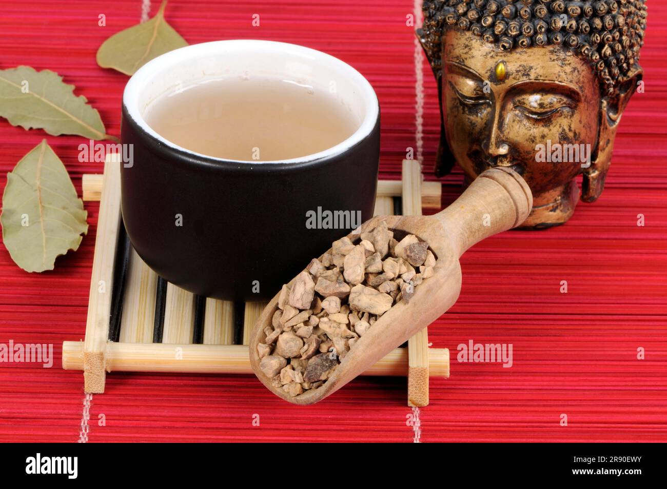 Polygonum root tea (Polygoni multiflori Radix) in cup, Polygonum root ...
