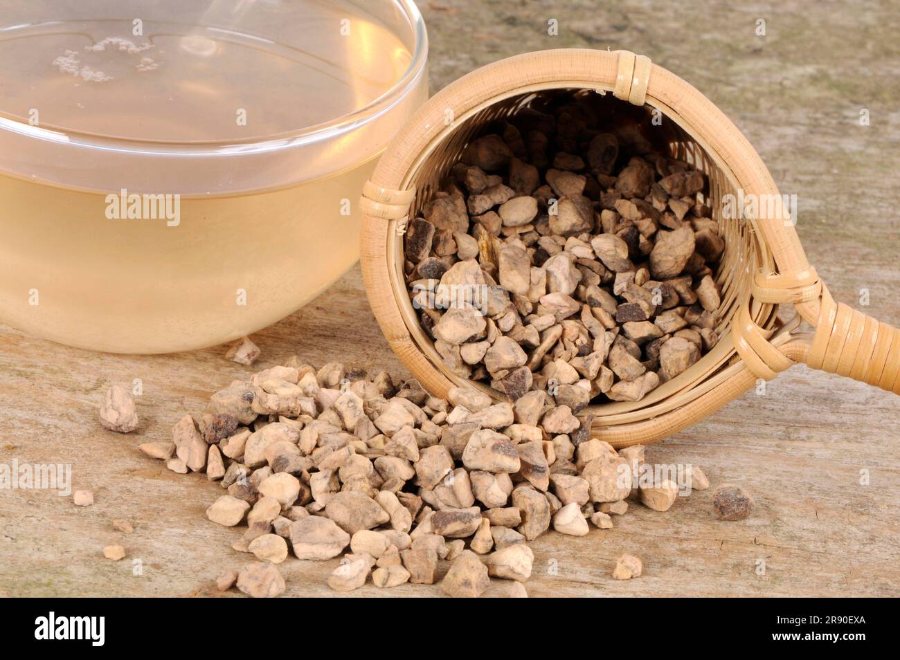 Polygonum root tea (Polygoni multiflori Radix) in cup, Polygonum root ...