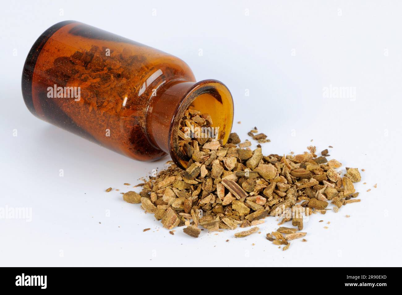 Rhubarb root (Rhei Radix et Rhizoma), Da Huang, cut out, object Stock ...