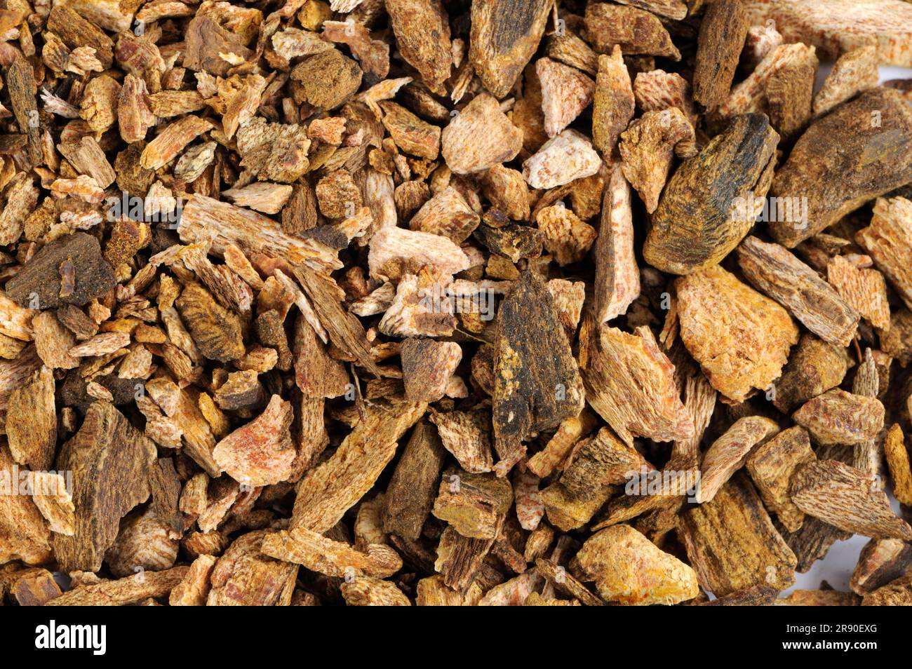 Rhubarb root (Rhei Radix et Rhizoma), Da Huang Stock Photo - Alamy