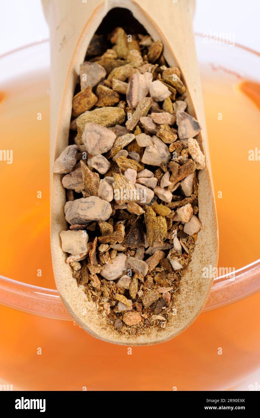 Cup of Rhubarb Root Tea (Rhei Radix et Rhizoma), Rhubarb Root Tea, Da ...