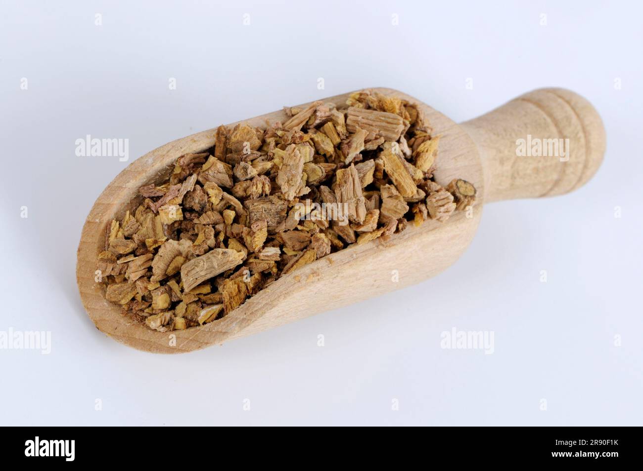 Isatis tinctoria (Isatidis Radix), Ban Lan Gen, cut out, object Stock ...