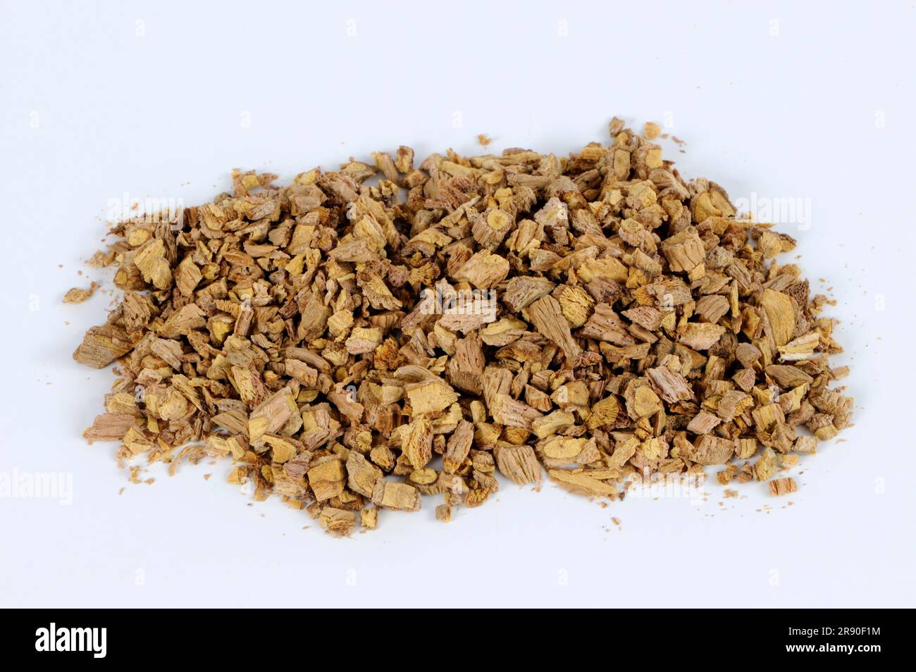 Isatis tinctoria (Isatidis Radix), Ban Lan Gen, cut out, object Stock ...