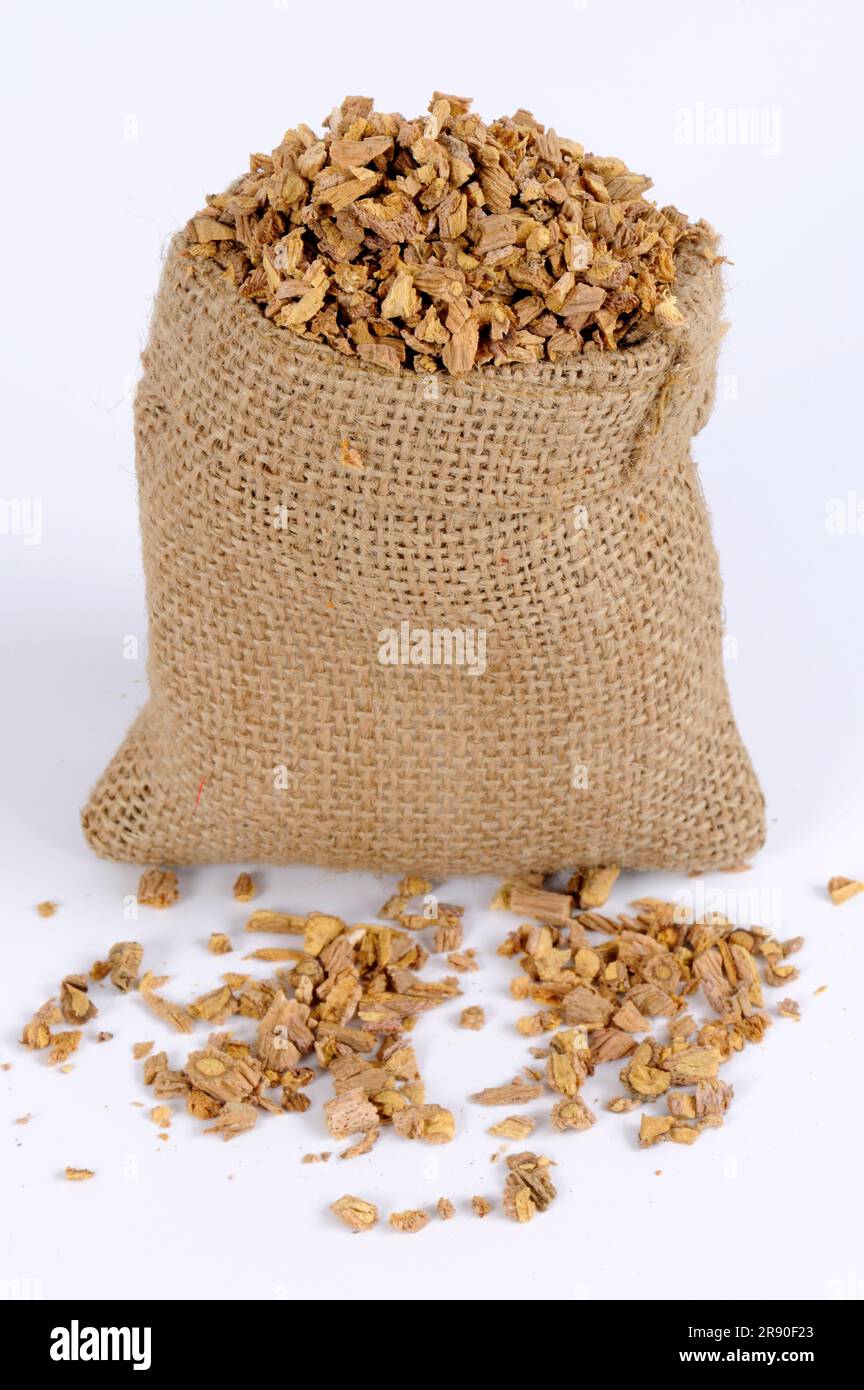 Isatis tinctoria (Isatidis Radix), Ban Lan Gen, cut out, object Stock ...