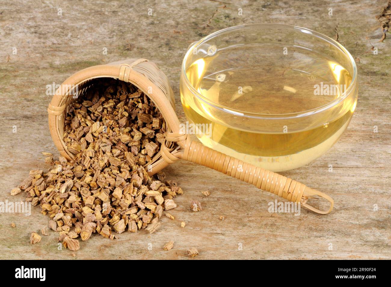 Cup of dyer's woad root tea (Isatidis Radix), dyer's woad root, faerber ...