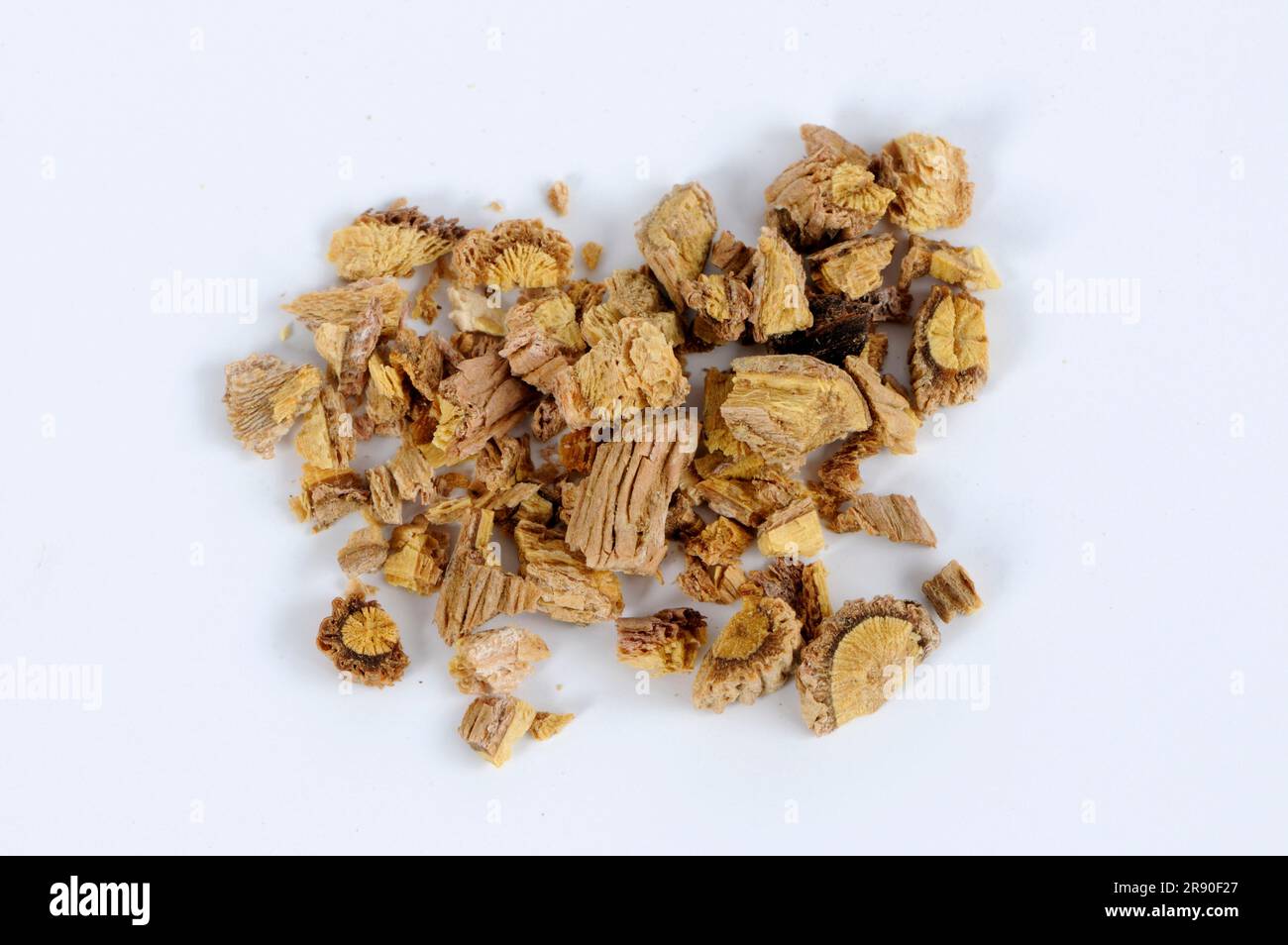 Isatis tinctoria (Isatidis Radix), Ban Lan Gen, cut out, object Stock ...