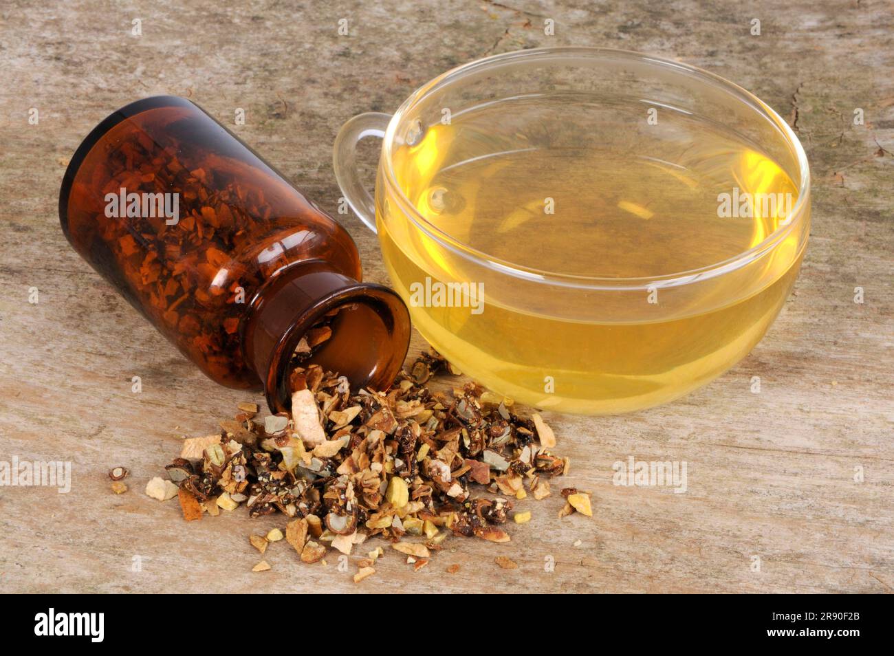 Snake gourd fruit tea hi-res stock photography and images - Alamy