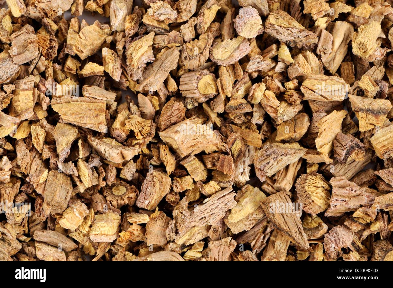 Radix isatidis hi-res stock photography and images - Alamy