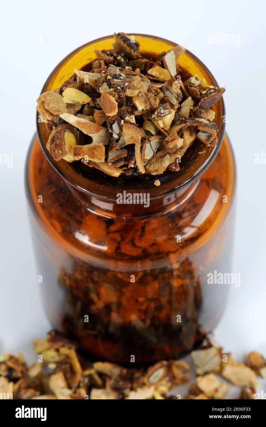 Snake cucumber fruit hi-res stock photography and images - Alamy