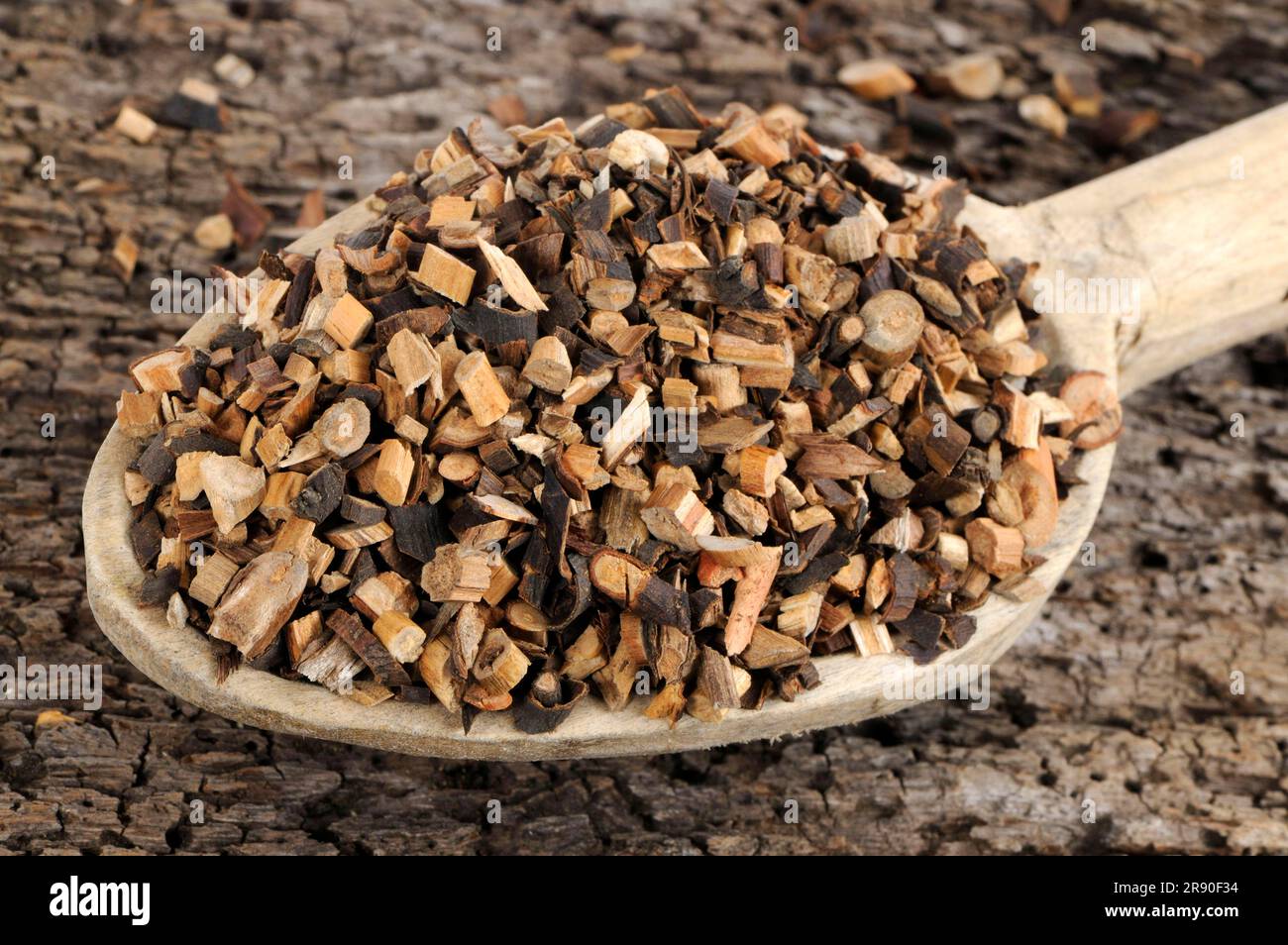 Cassia branch (Cinnamomi Ramulus), Gui Zhi Stock Photo - Alamy