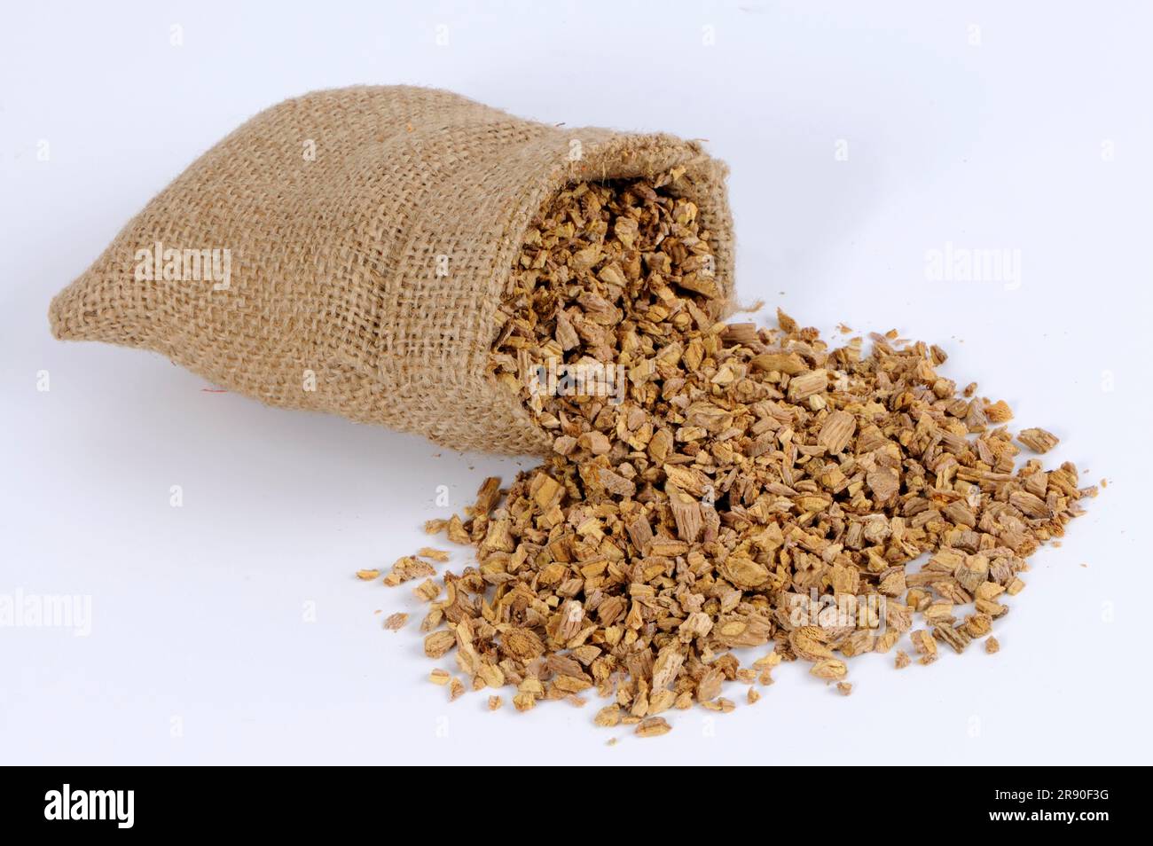 Isatis tinctoria (Isatidis Radix), Ban Lan Gen, cut out, object Stock ...