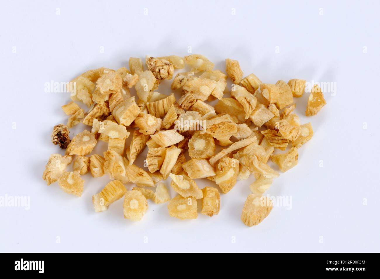 Bell vine root (Codonopsis Radix), Dang Shen, cut out, object Stock ...