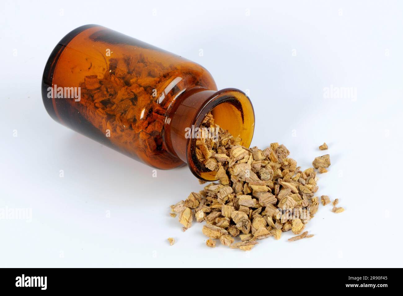 Isatis tinctoria (Isatidis Radix), Ban Lan Gen, cut out, object Stock ...