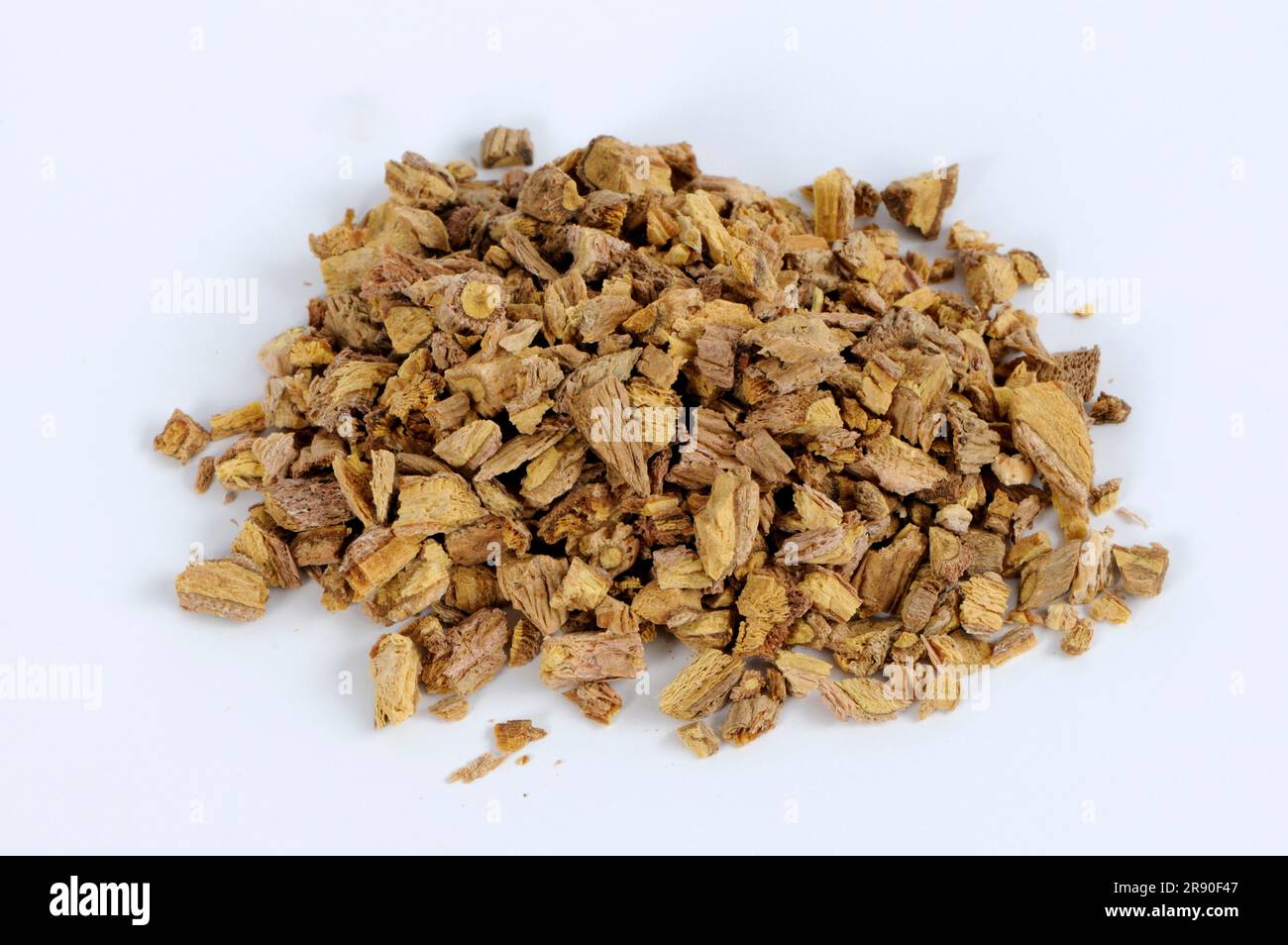 Isatis tinctoria (Isatidis Radix), Ban Lan Gen, cut out, object Stock ...