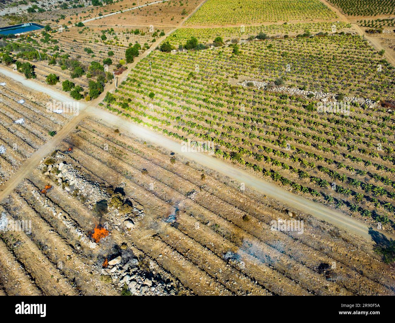 Aerial view of citriculture in Petorca in Chile, South America ...