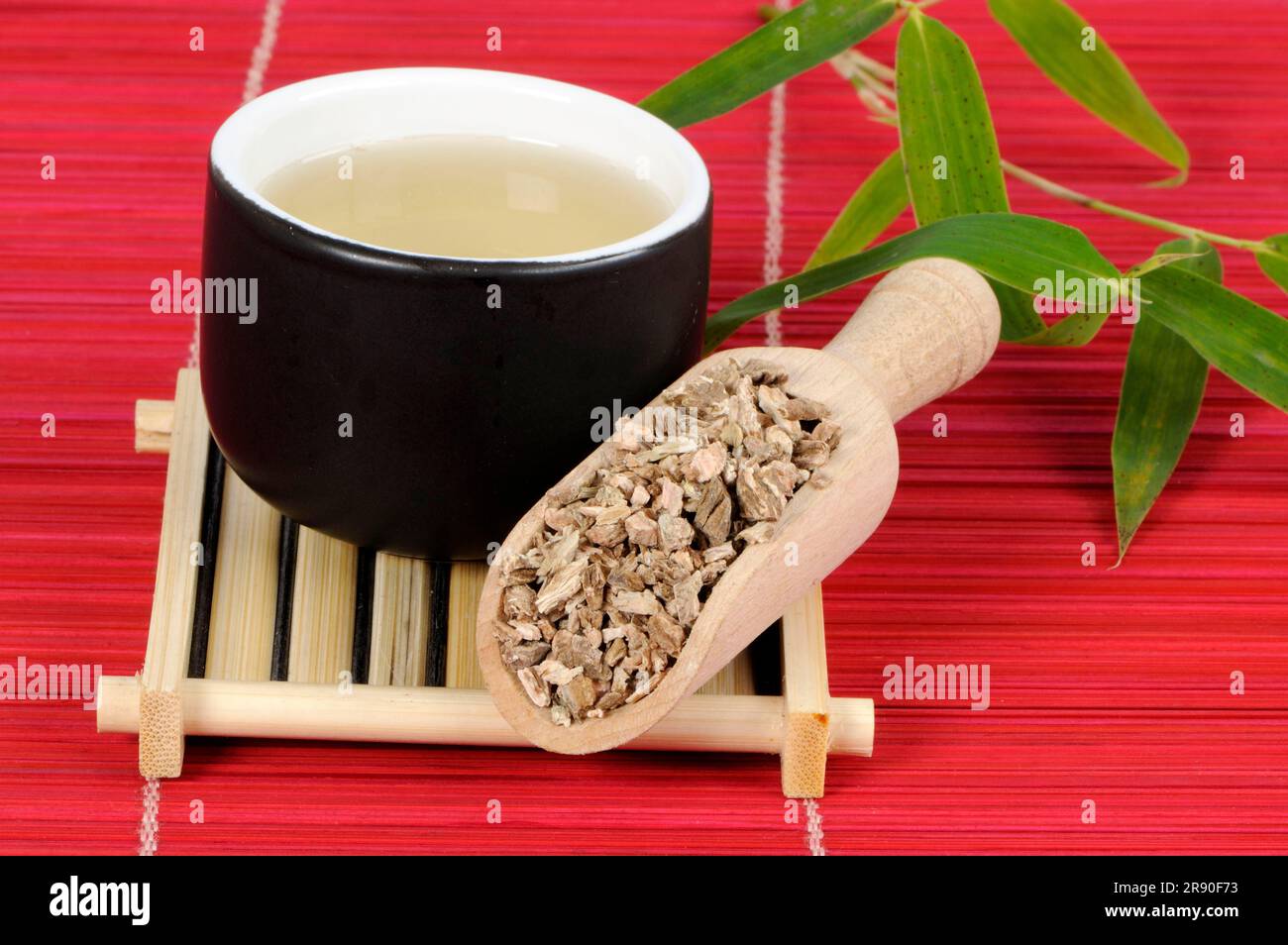 Cup of Chinese Cardoon Root Tea (Dipsaci Radix), Xu Duan, Chinese ...