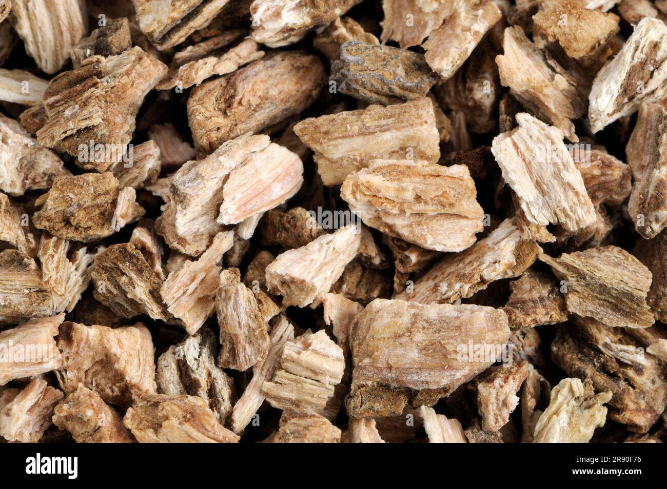 Chinese cardoon root (Dipsaci Radix), Xu Duan Stock Photo - Alamy
